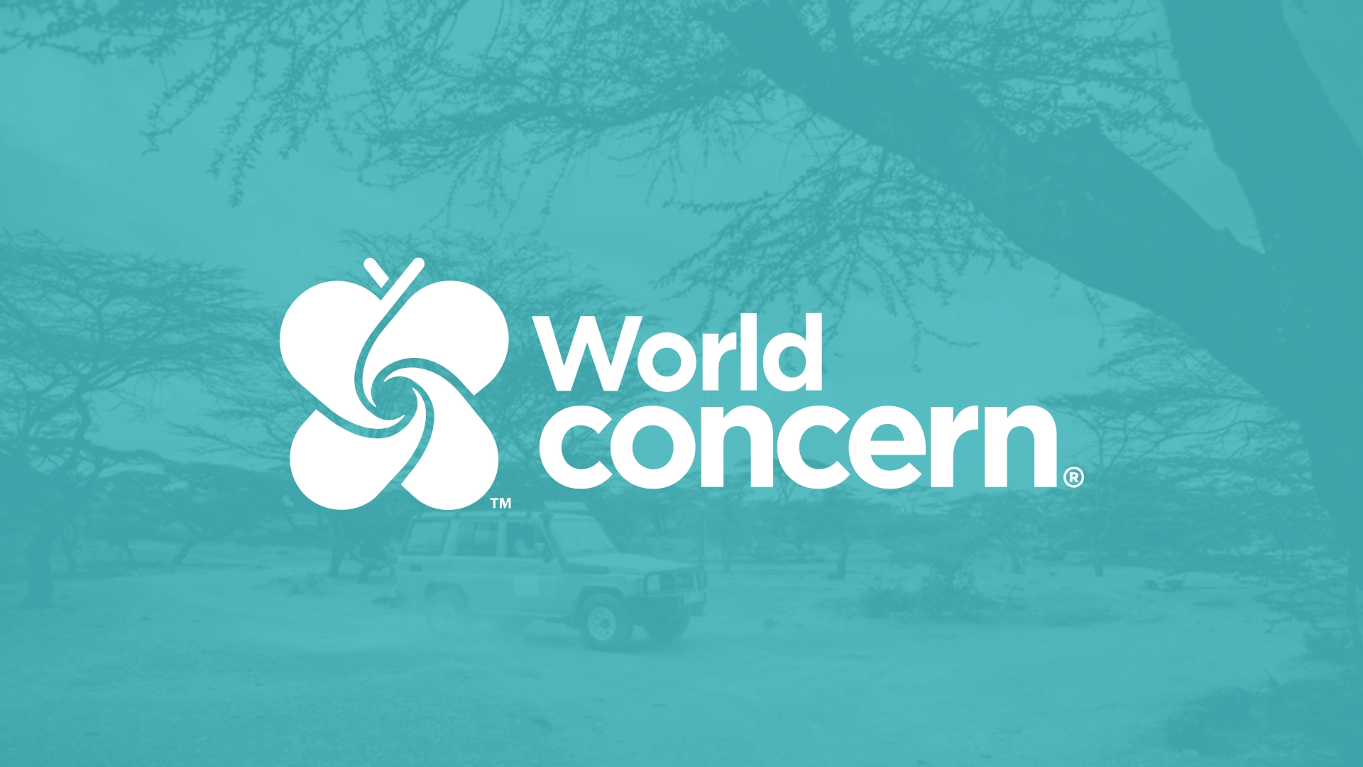 Focus Areas – World Concern